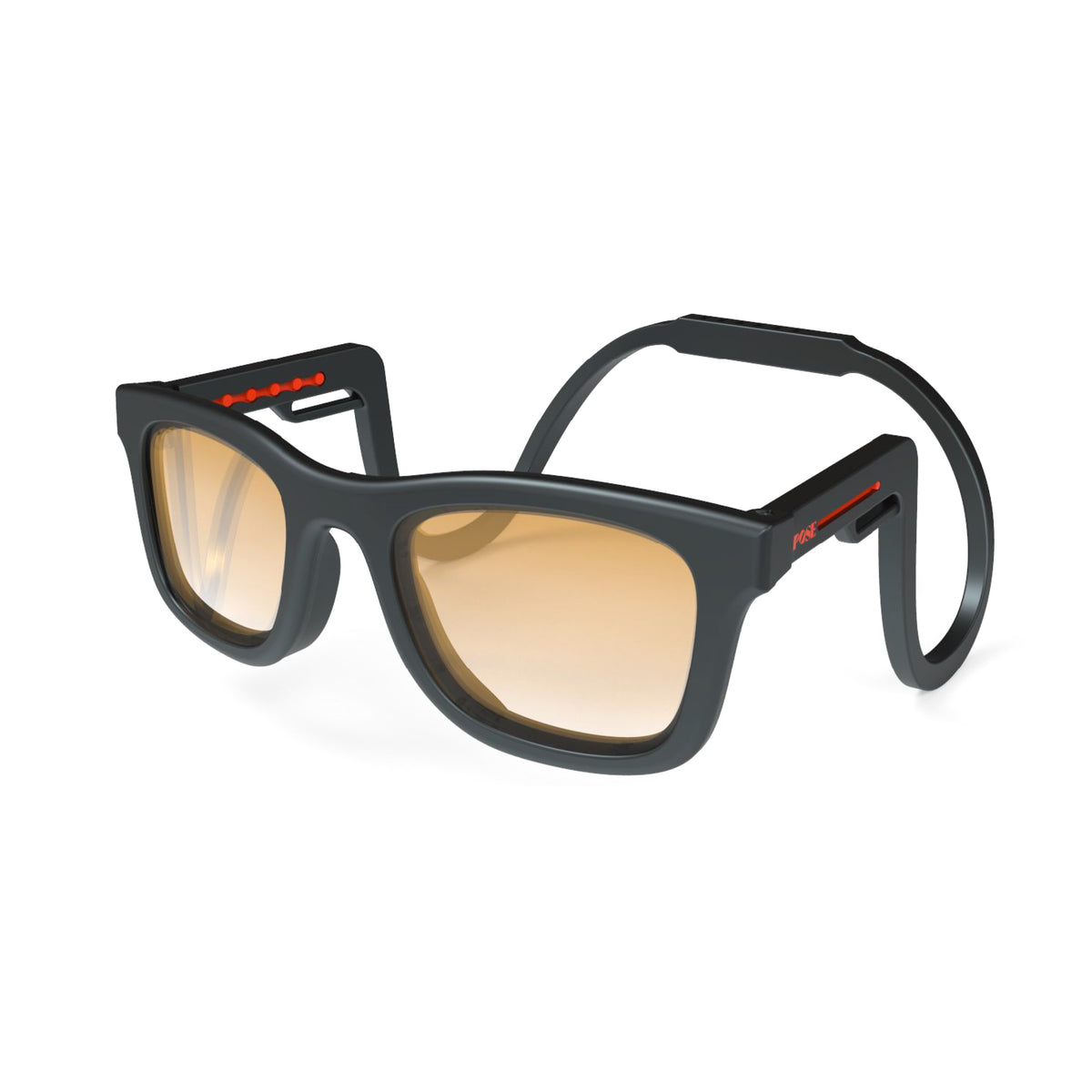 President – Pose Pets